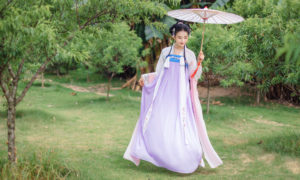 Chinese Ruqun Guide: Definition, Structure, Style And Design Feature ...